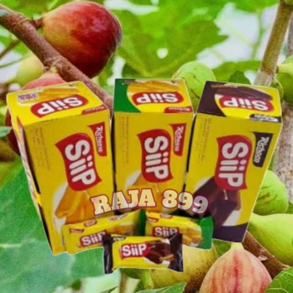 Jual NABATI SIIP SNACK BOX ISI 20 PCS X 5 GR | SIP NABATI | Shopee ...