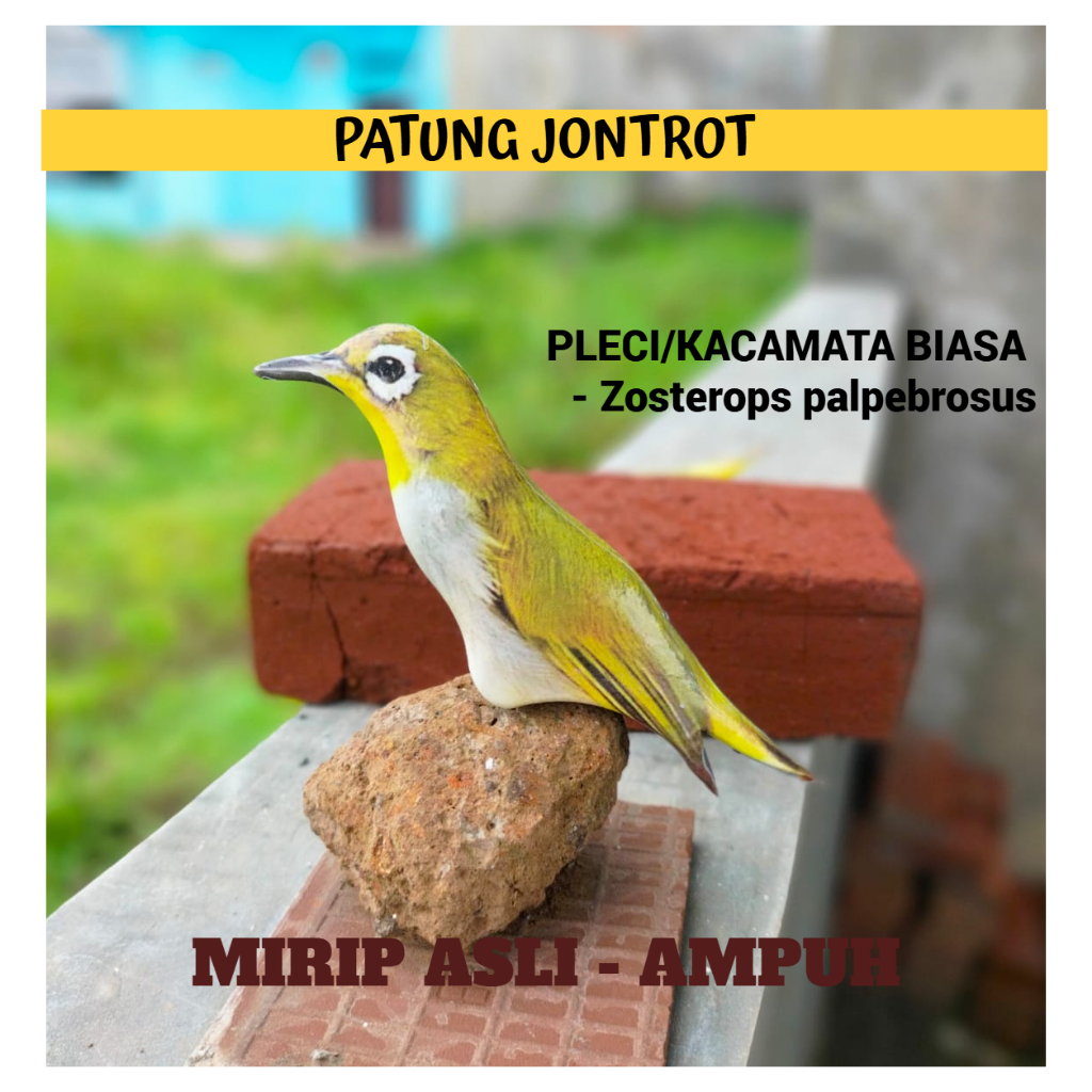 Jual PATUNG JONTROT BURUNG PLECI/KACAMATA BIASA - JONTROT BURUNG PLECI ...