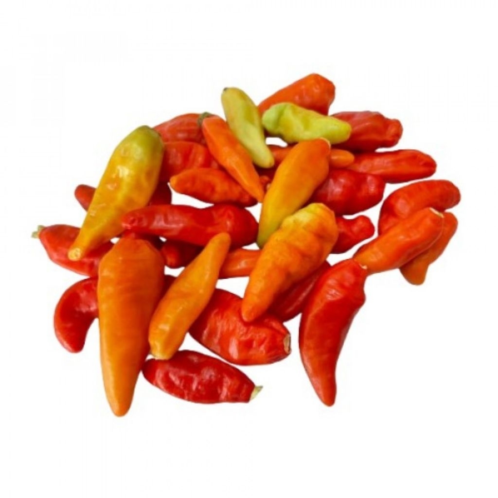 Jual Lombok cabe petik fress sembako Murah Makasssar (harga naik lagi ...