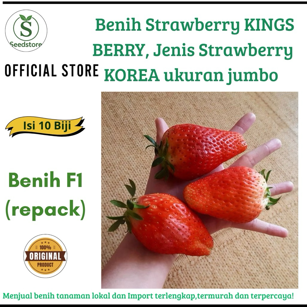Jual isi 10 Biji - Benih Strawberry KINGS BERRY, Jenis Strawberry KOREA ...