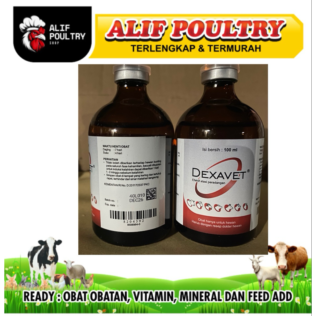 Jual DEXAVET INJ 100 ML - efektif atasi peradangan | Shopee Indonesia