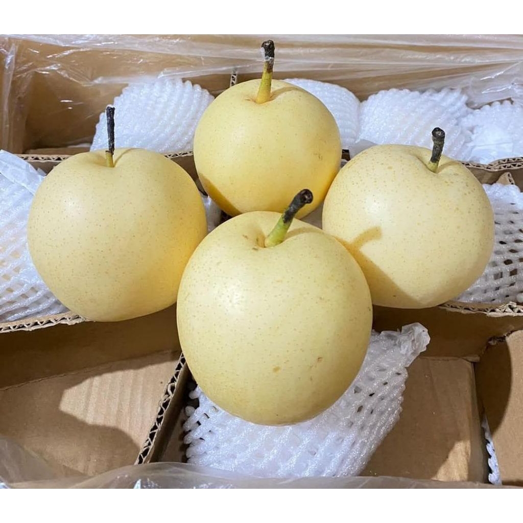 Jual buah pear century madu kemasan 1 kg | Shopee Indonesia
