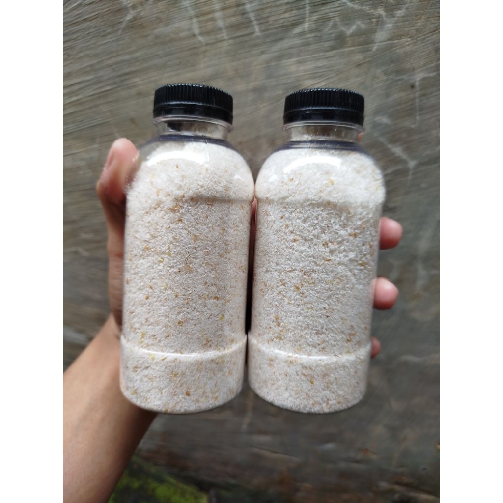 Jual Makanan Instant Kelomang/Food HermitCrab 200ml | Shopee Indonesia