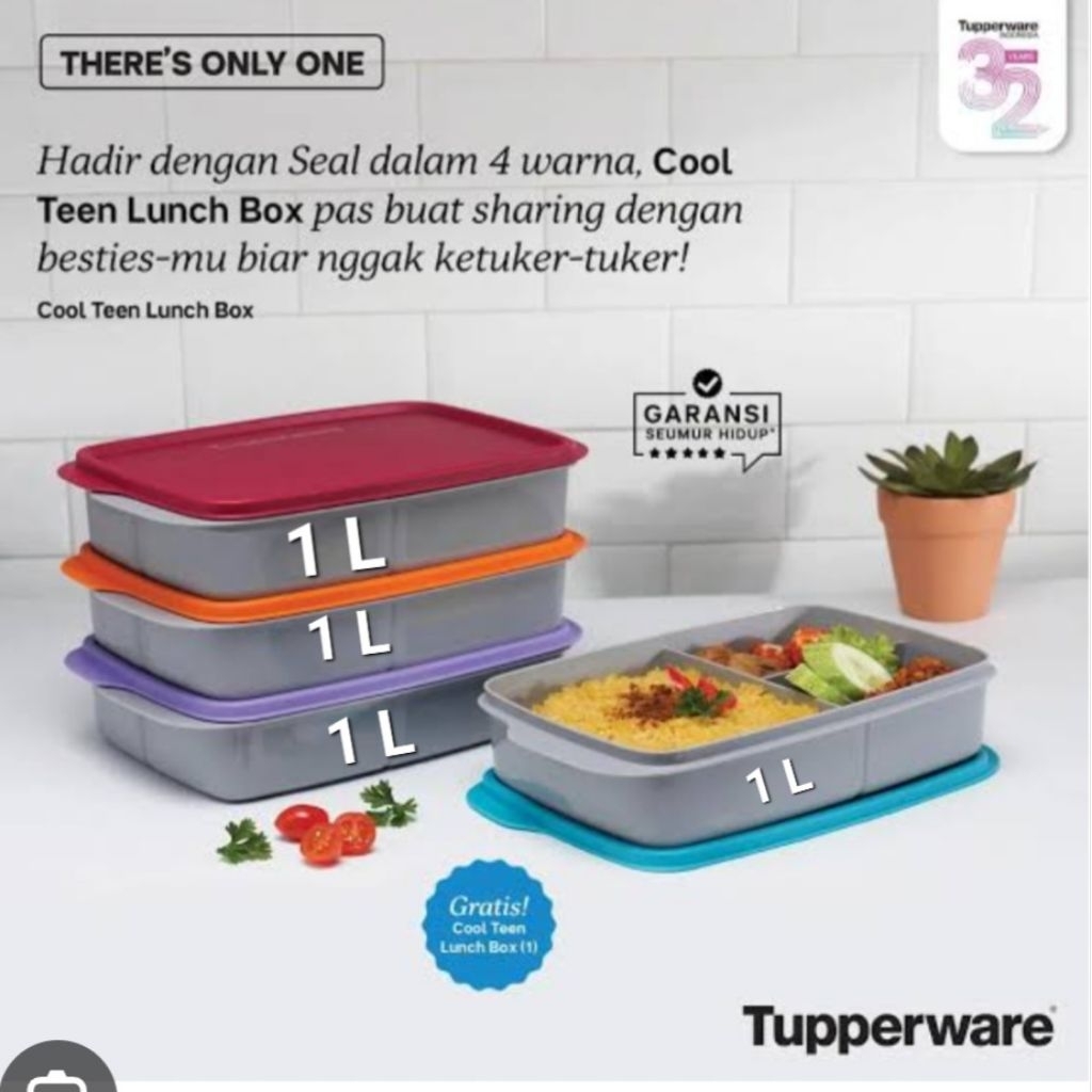Jual Tempat makan Cool Teen Lunch Tupperware ( FREE Bubble Warp ...