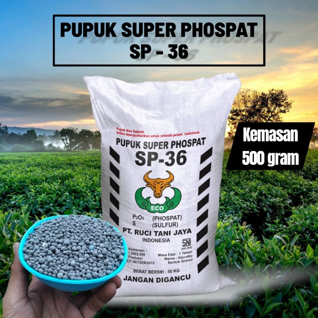 Jual pupuk phospat SP 36 kemasan repack 500 gram - pupuk tanaman ...