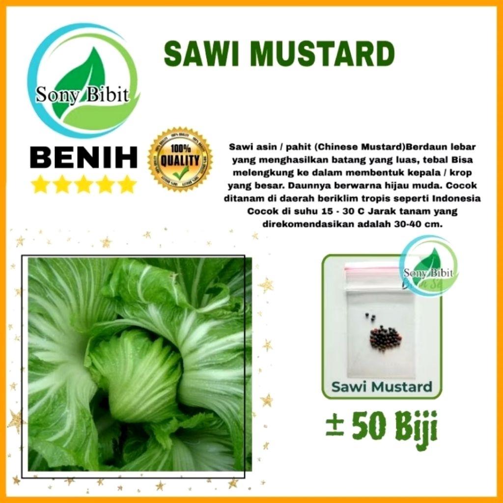 Jual 50 Biji Benih Sawi Mustard Unggulan Kemasan Ekonomis | Shopee ...
