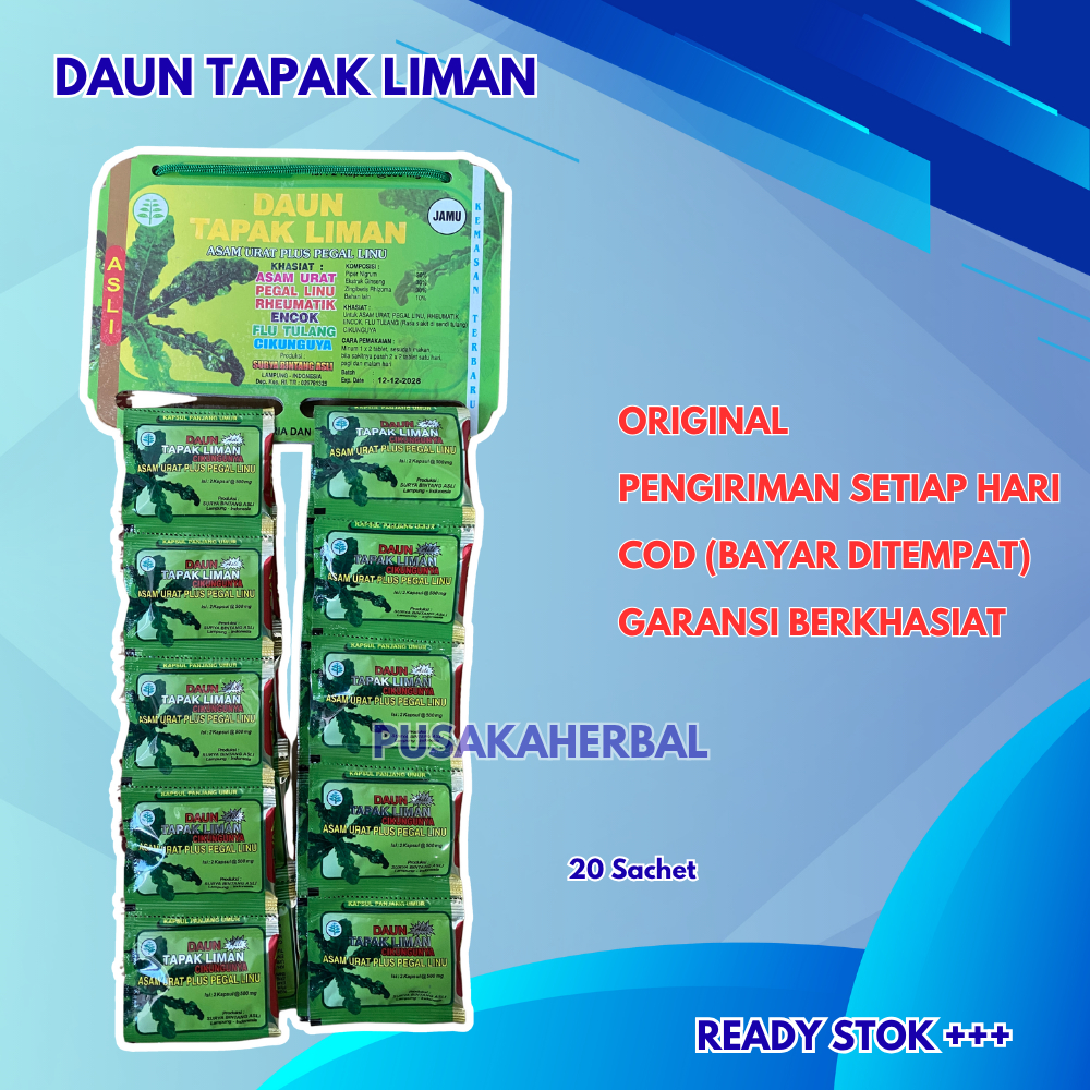 Jual Daun Tapak Liman Original 20 Sachet | Shopee Indonesia
