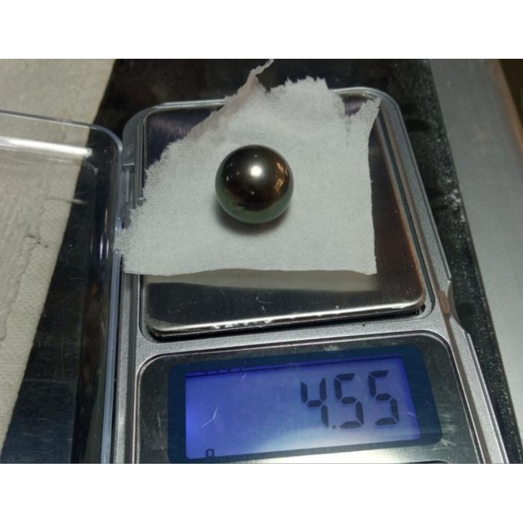 Jual butiran mutiara laut black tahiti 14mm jumbo langka lengkap ...