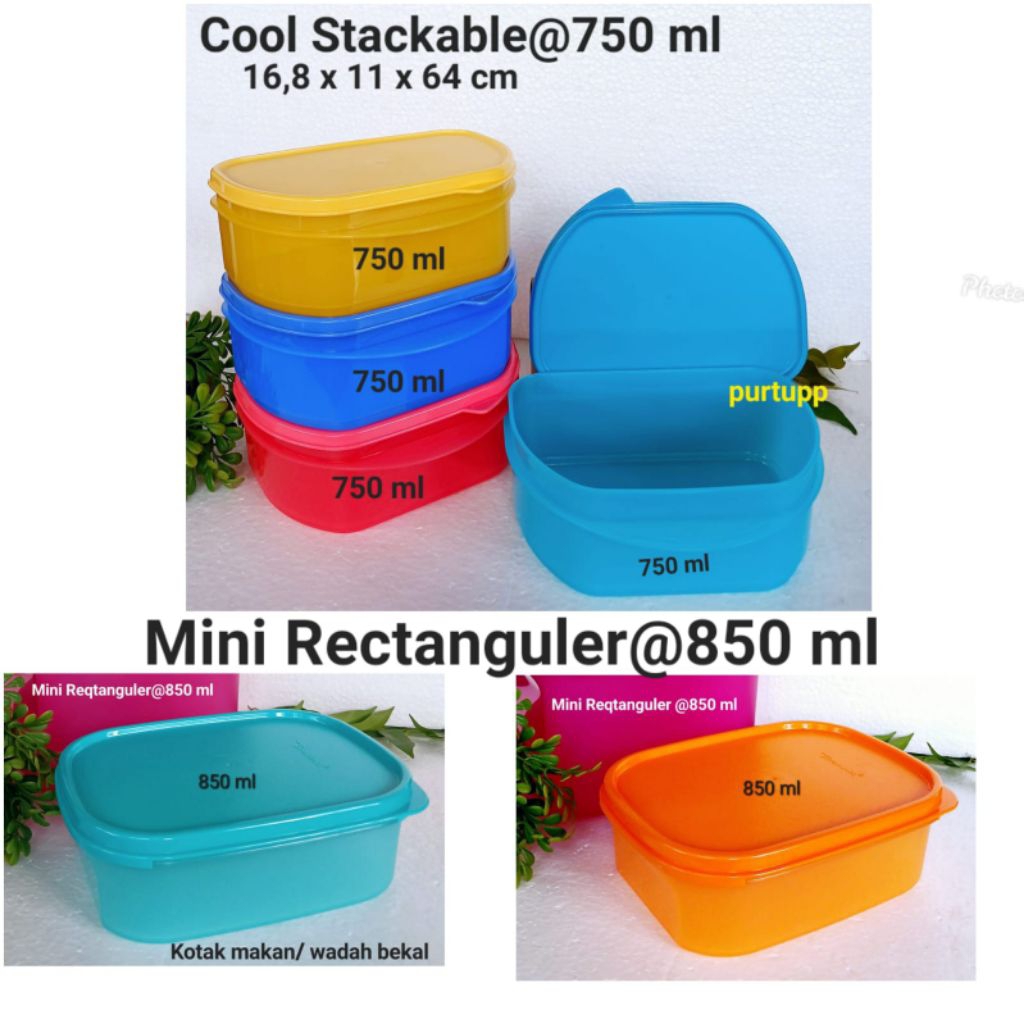 Jual Tupperware kotak makan Cool Stackable dan mini rectanguler harga satuan | Shopee Indonesia