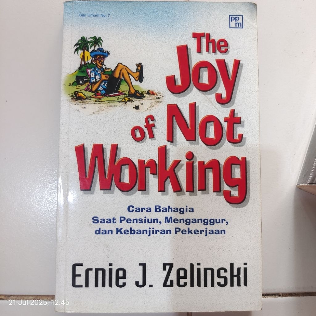Jual BUKU THE JOY OF NOT WORKING ERNIE ZELINSKI ORIGINAL | Shopee Indonesia