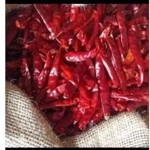 Jual CABE KERING / CABE TEJA INDIA GRADE A / CABE RAWIT JAPLAK SUPER ...