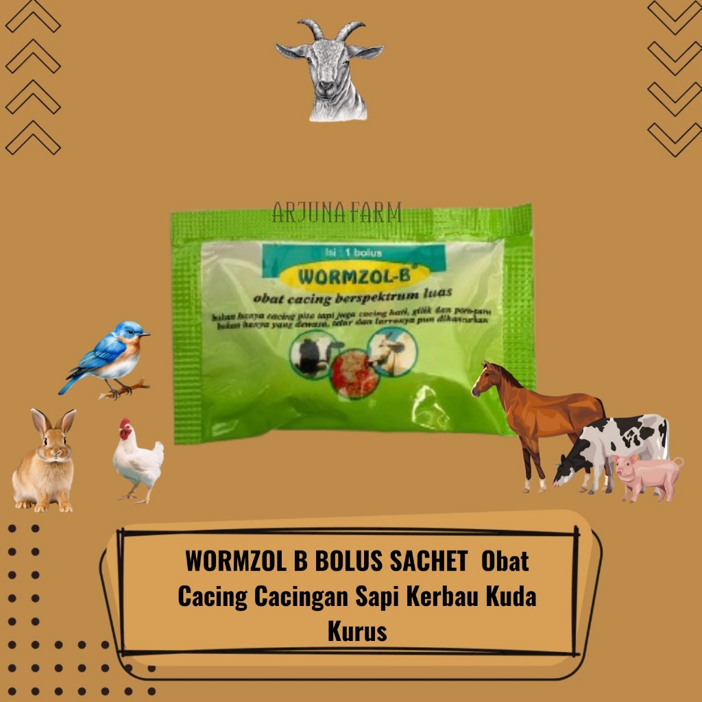 Jual Wormzol B 1 Bolus Obat Cacing Paru Paru Gilik Pita dan Hati untuk ...