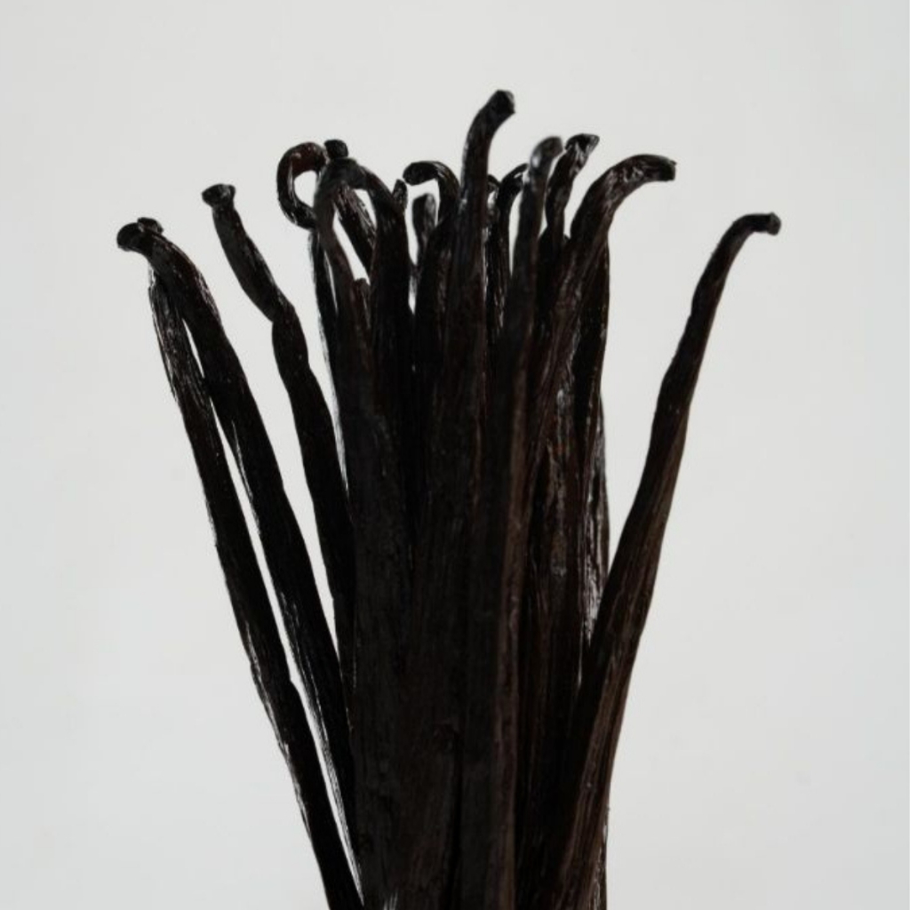 Jual Adore Vanilla Beans Gourmet Bourbon 3 Biji 16–18cm (Halal, BPOM ...