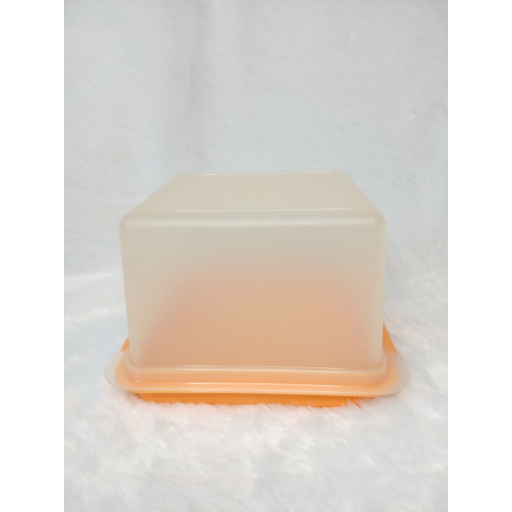 Jual Tupperware Original Tempat Roti tawar (PRELOVED) | Shopee Indonesia