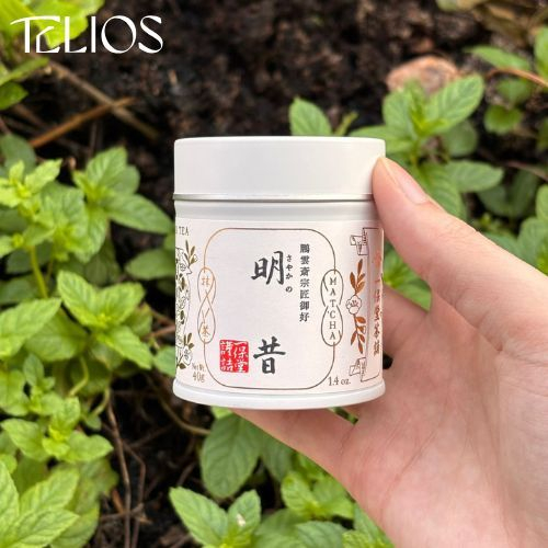 Jual [READY] IPPODO MATCHA KUON, Ummon-no-mukashi, SAYAKA, UJI SHIMIZU ...