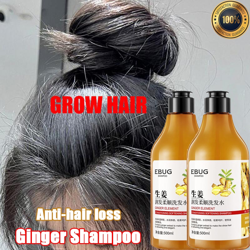 Jual Anti-hair loss ginger shampoo nourishes hair fast growth shampoo ...