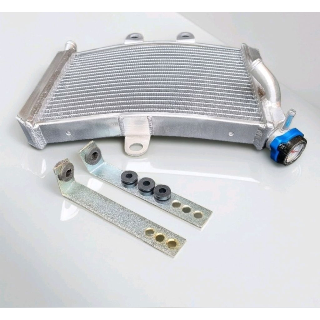 Jual radiator ninja R SS dan RR curve gambot original pro 1 ALXD DAN ...