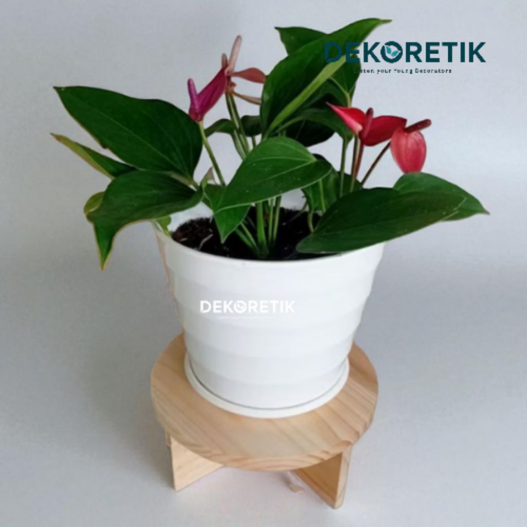 Jual Tatakan pot kayu lingkaran bulat kayu jati belanda standing ...