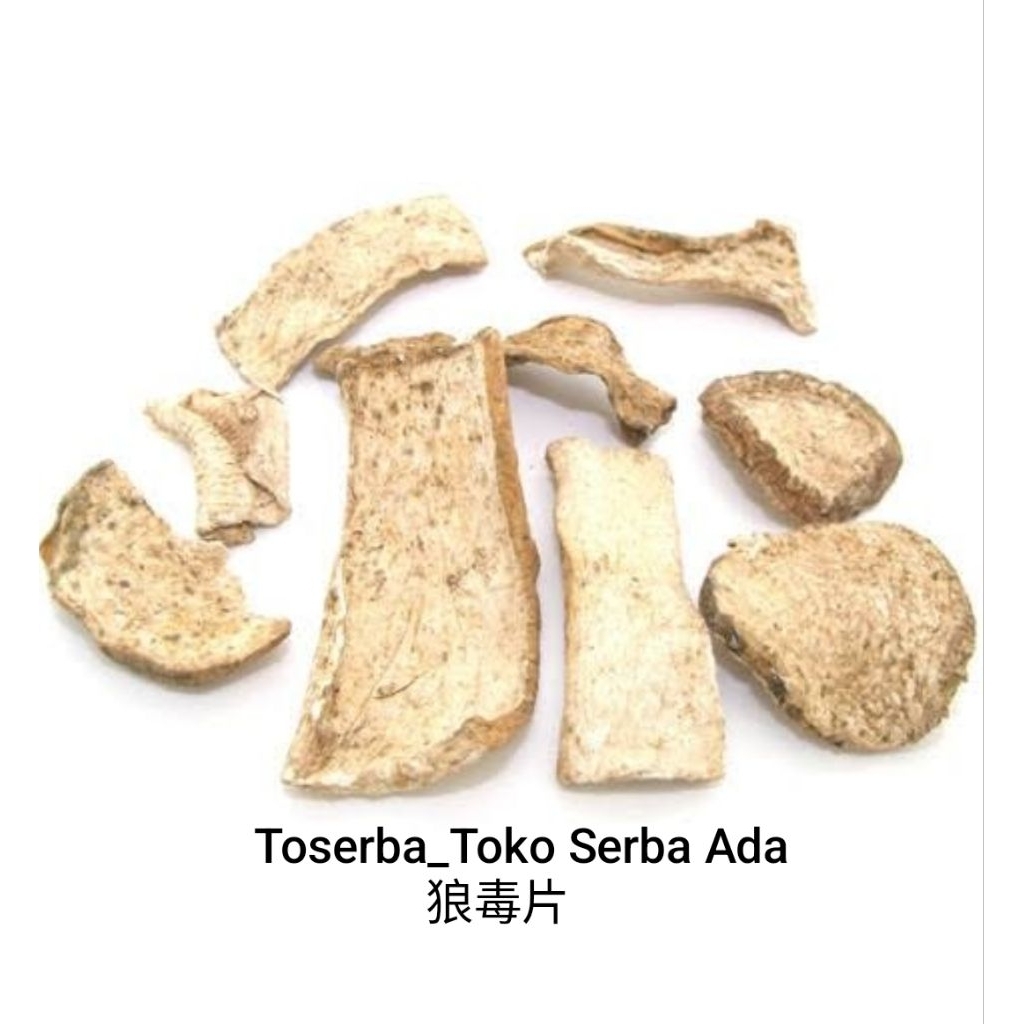 Jual 100gr Herbal Lang Du Pian 狼毒片 Fischer Euphorbia Root / Euphoriae ...