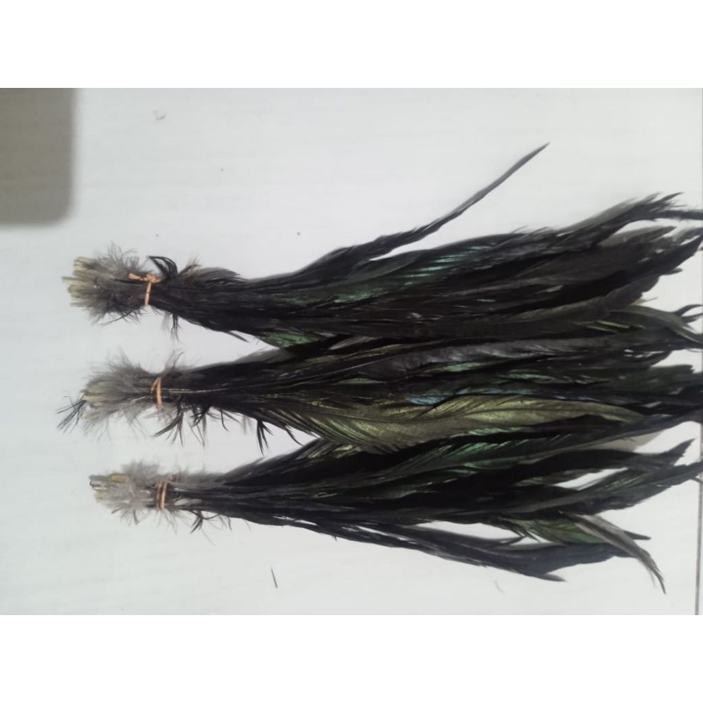 Jual BULU AYAM LANCUR PANJANG HITAM NATURALIMPORT, BAHAN HALUS DAN ...