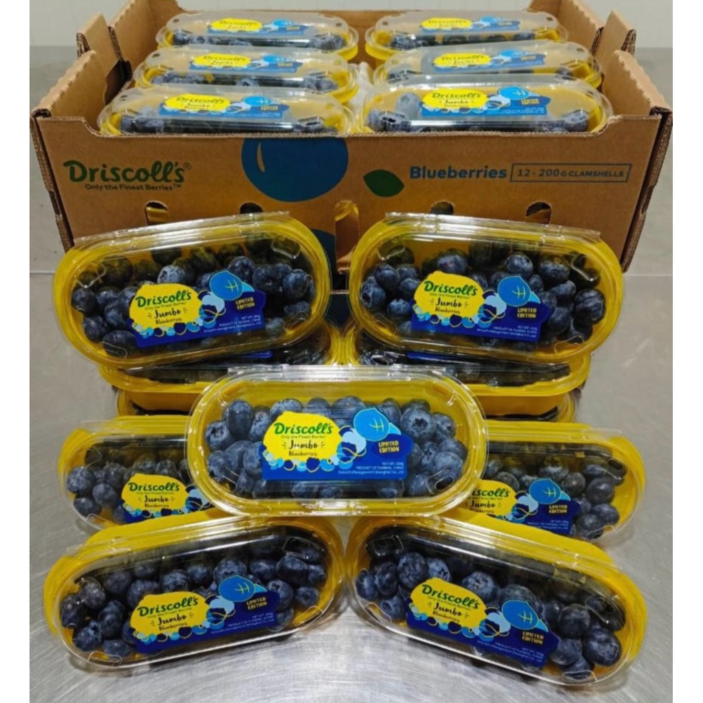 Jual Blueberry Driscolls Jumbo Fresh 250gram |Pack | Shopee Indonesia
