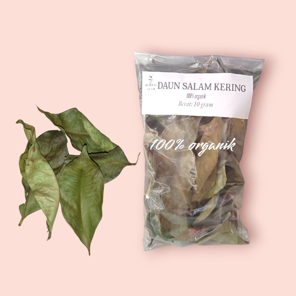 Jual Daun salam segar | Daun salam kering | Bibit pohon salam sayur ...