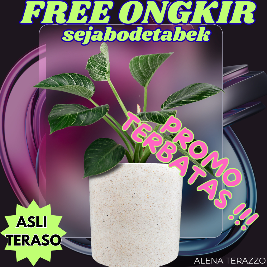 Jual Pot Teraso Estetik Kekinian | Pot Tanaman Hias Batu Alam Premium ...