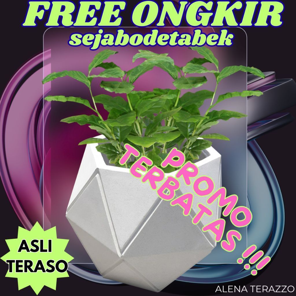 Jual Pot Tanaman Hias Teraso | Pot Bunga Estetik Handmade Minimalis POT ...