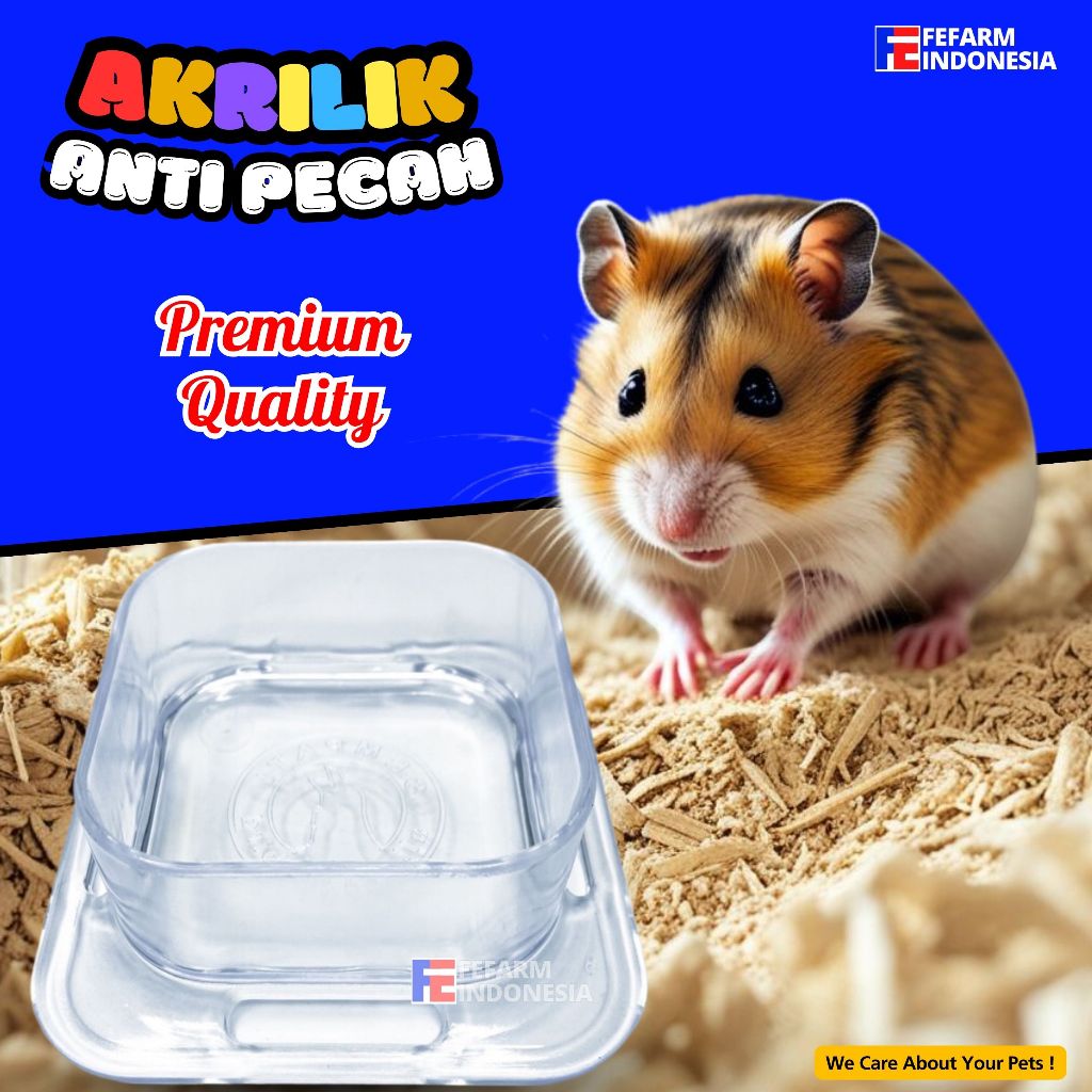 Jual Tempat Makan Aanti Tumpah Untuk Hamster, Landakmini, SG, Reptile ...