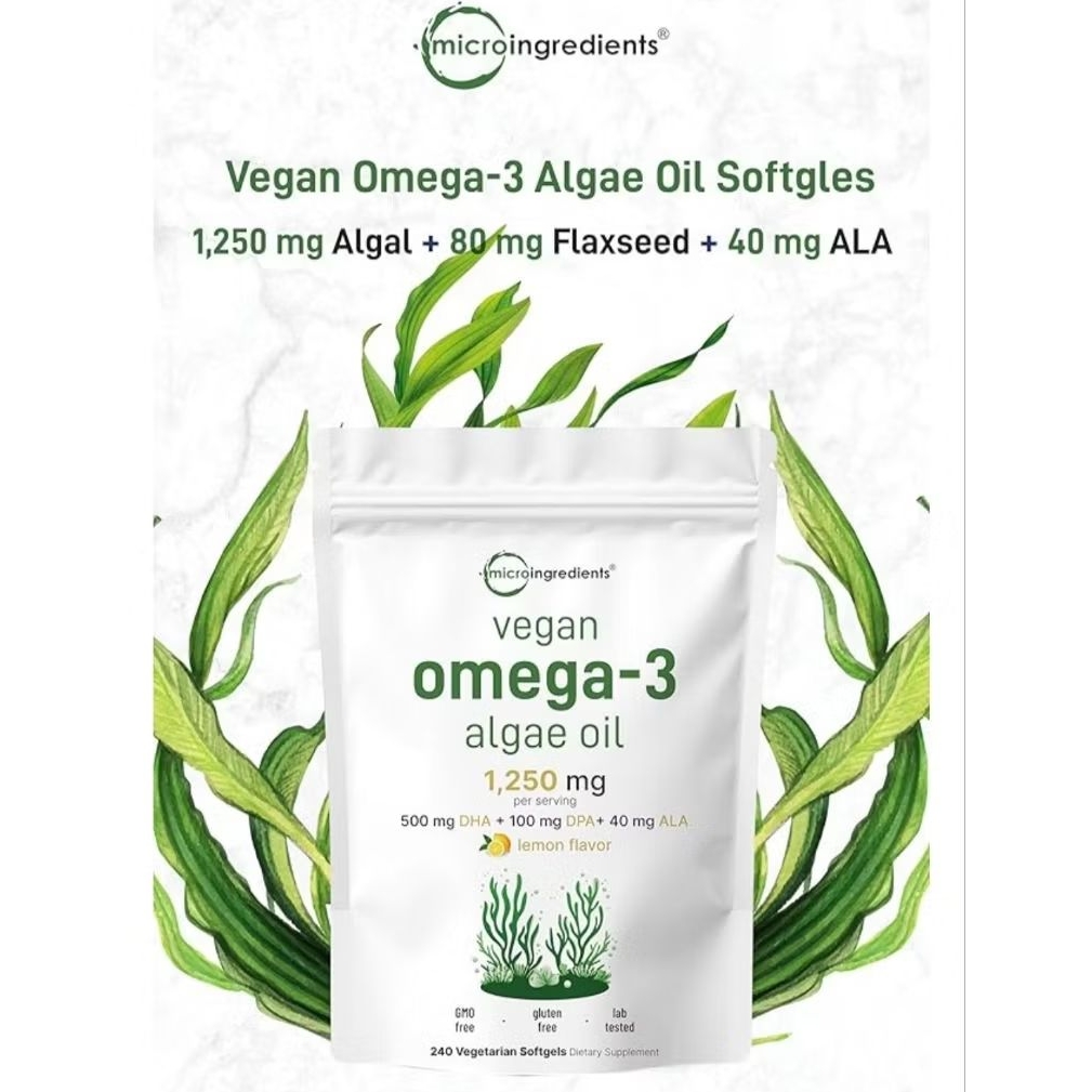 Jual Micro Ingredients Vegan Omega 3 Algae Oil, 240 Veggie Softgels ...