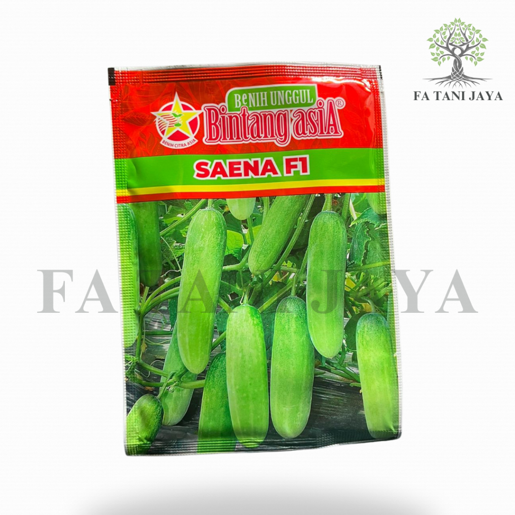 Jual benih timun saena isi 20 gram Bintang Asia exp 04-06-2026(terbaru ...