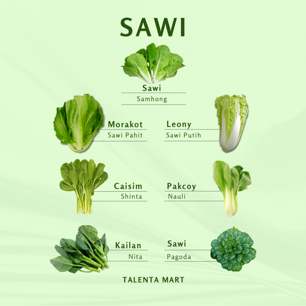 Jual REPACK BENIH SAWI ( Variasi ) SAWI SAMHONG , SAWI PAHIT MORAKOT ...