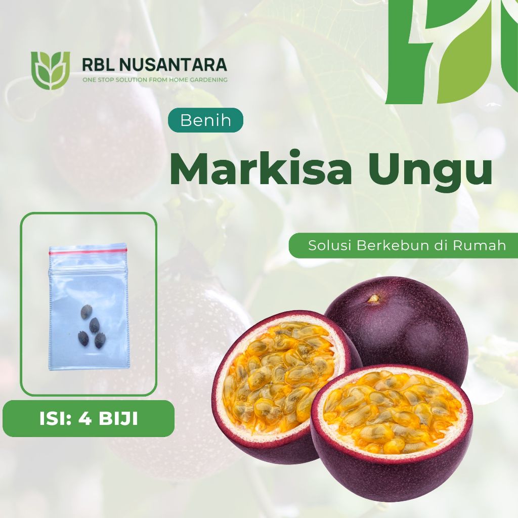 Jual Benih Buah - 4 Benih Markisa Ungu Kualitas Unggul | Shopee Indonesia
