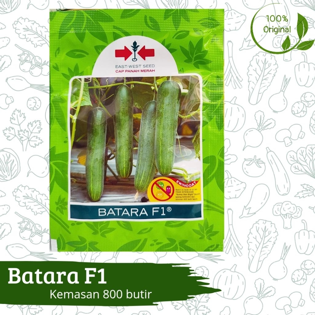 Jual Benih Bibit Timun Ketimun Mentimun Batara 800 butir Cap Panah ...