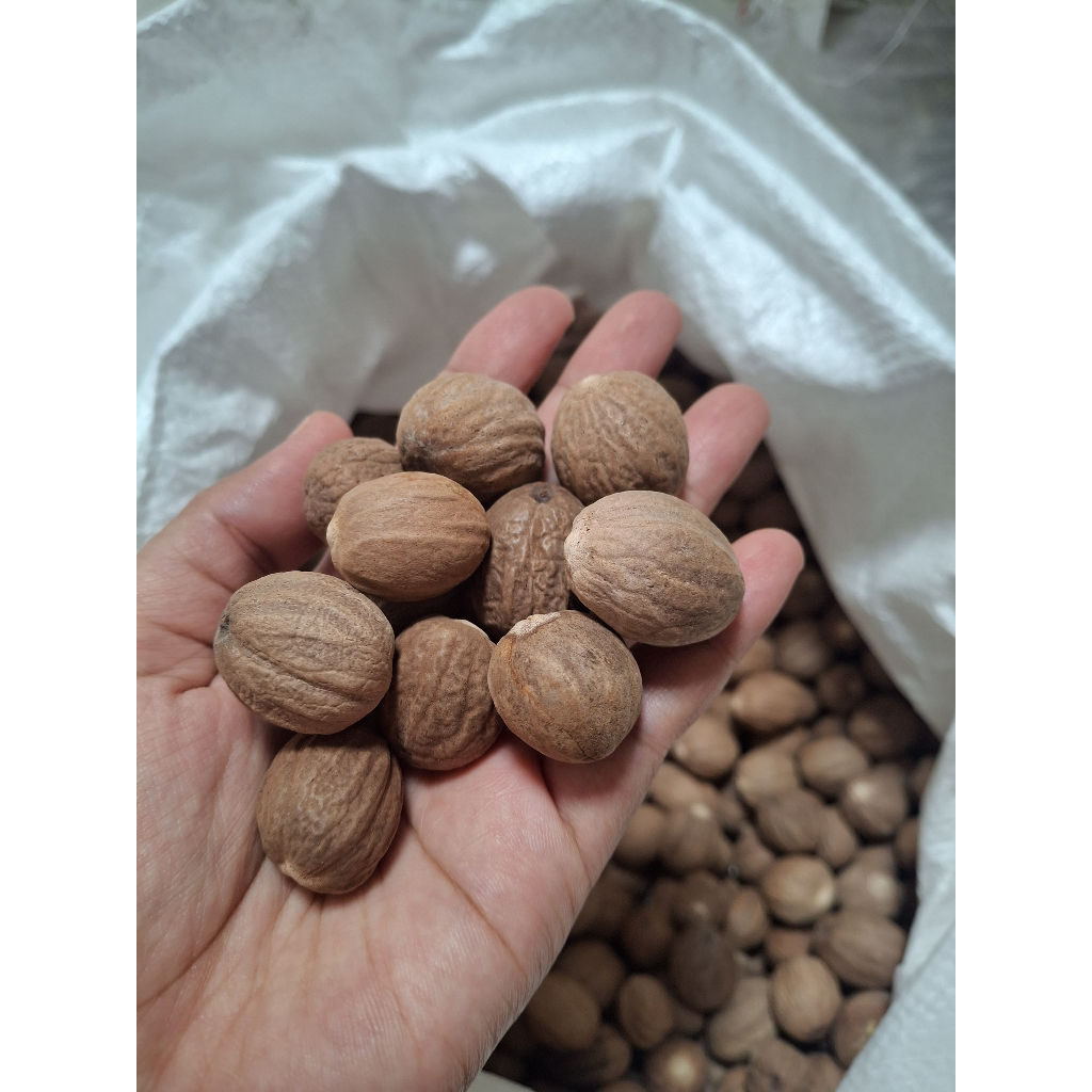 Jual Marila | Biji Pala Utuh - Nutmeg Asli 1kg | Shopee Indonesia