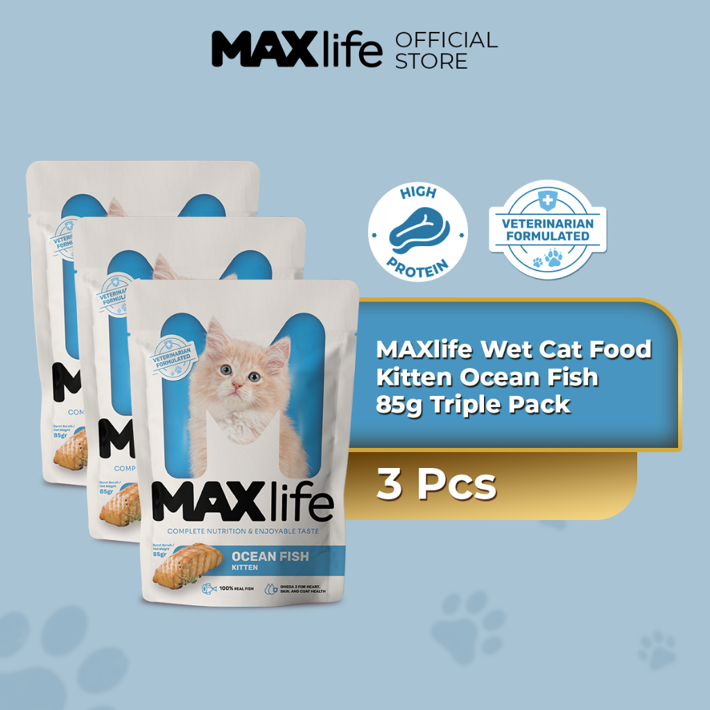 Jual MAXlife Wet Cat Food Kitten Ocean Fish 85g | Shopee Indonesia
