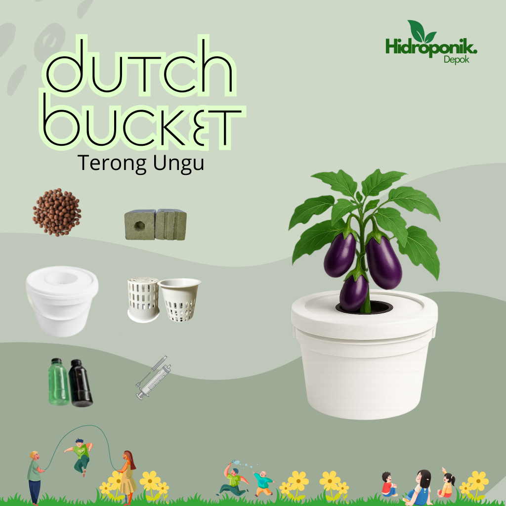 Jual Paket Lengkap Hidroponik Dutch BUcket Tanaman Terong Ungu Siap ...