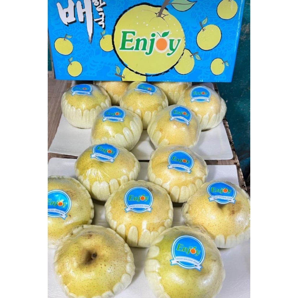 Jual PIR SINGO KOREA | Shopee Indonesia