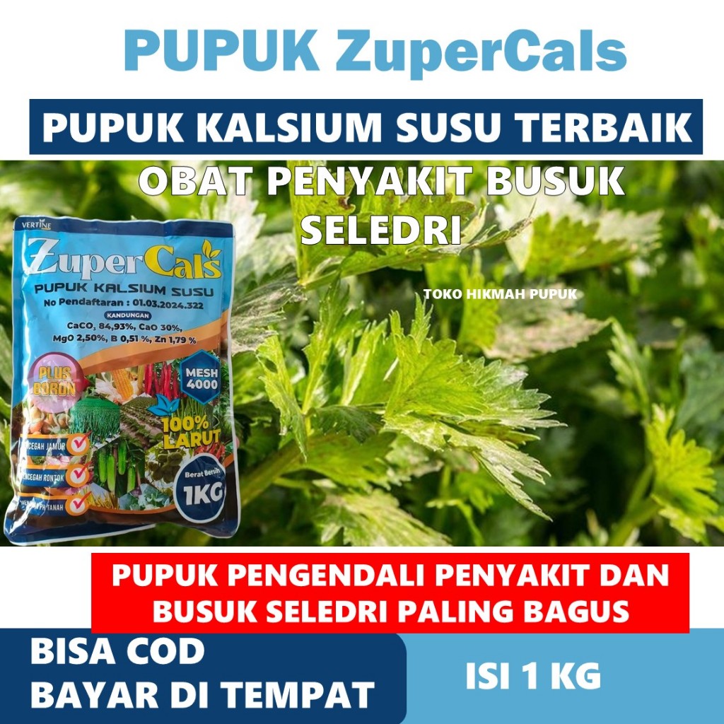 Jual PROMO PUPUK TEPUNG KALSIUM ZUPERCALS SAYURAN SELEDRI MENGATASI ...