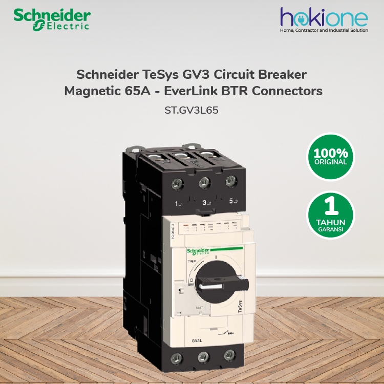 Jual Schneider TeSys GV3 Circuit breaker magnetic 65A - EverLink BTR ...