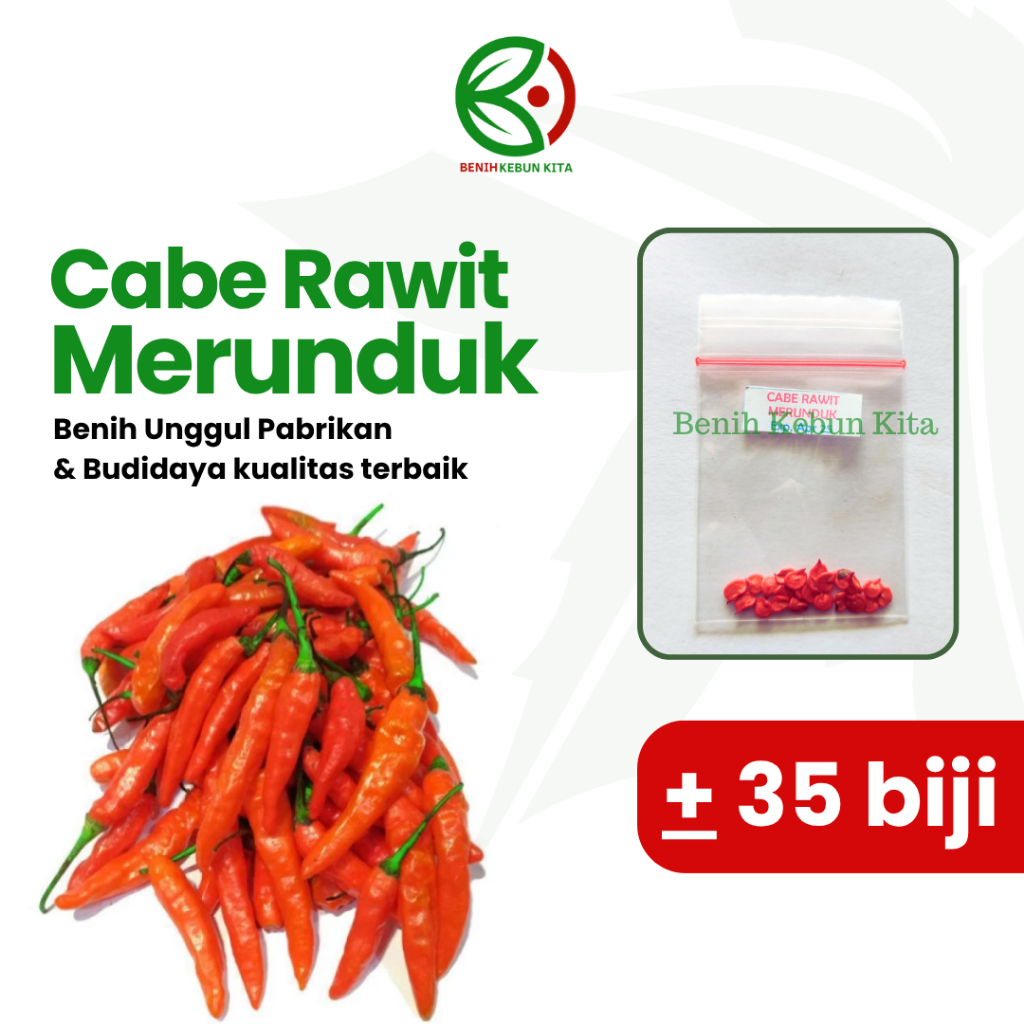 Jual Biji Benih Bibit Tanaman Cabai Rawit Putih Merunduk Unggul ...