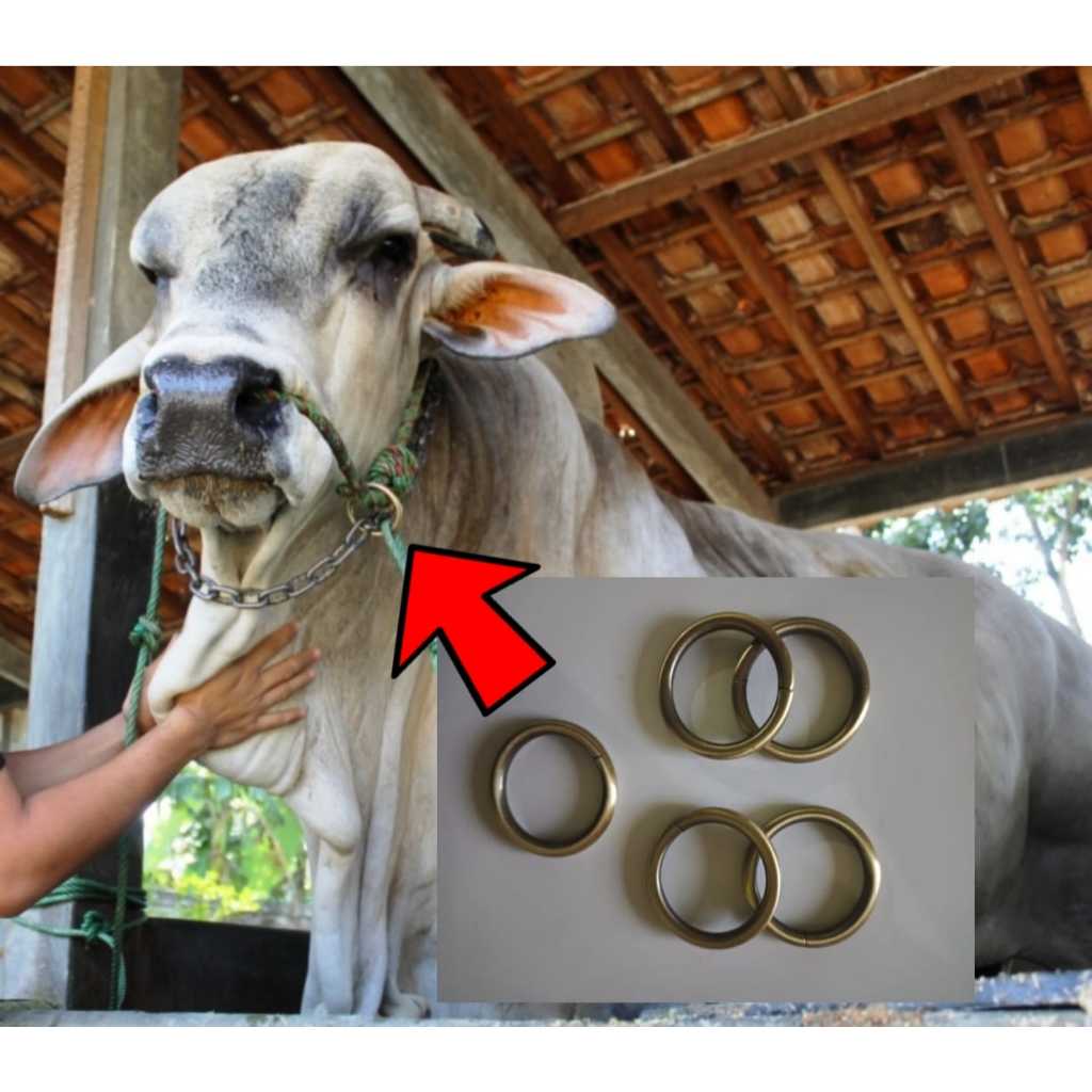 Jual [COD] RING TALI SAPI / RING KELUH SAPI | Shopee Indonesia