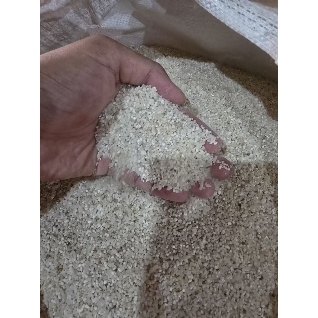Jual Beras Menir pakan Ayam Ternak 1 Kg | Shopee Indonesia