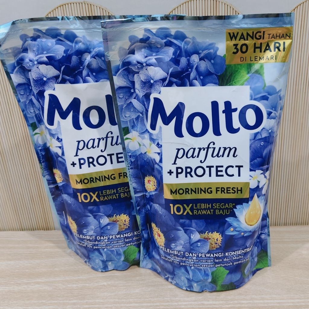 Jual MOLTO PARFUM + PROTECT MORNING FRESH 550ML | Shopee Indonesia