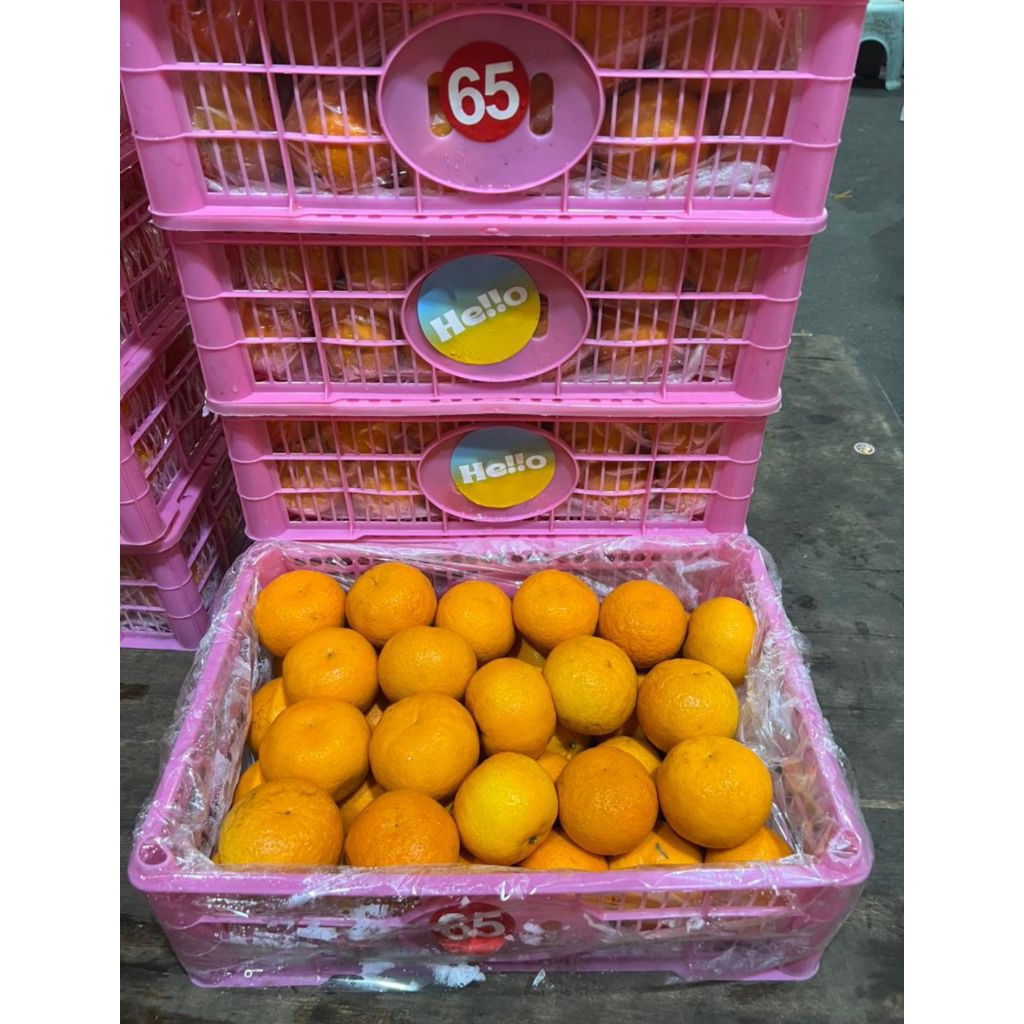 Jual Jeruk Wogan Mandarin 1 keranjang 6 kg | Shopee Indonesia