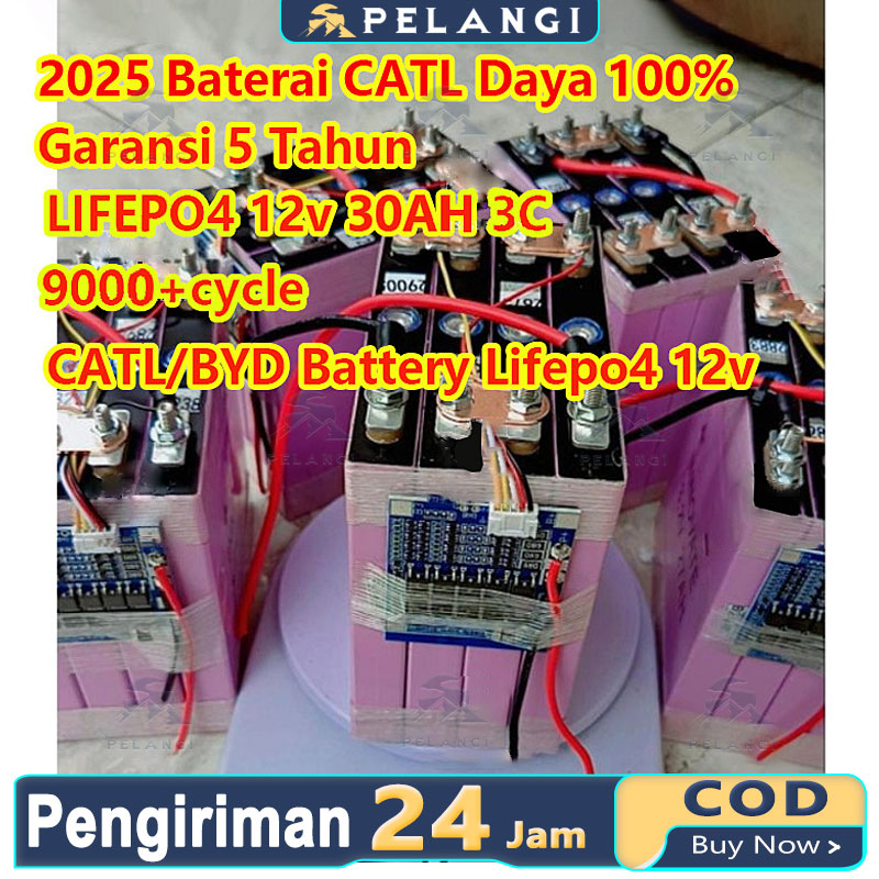 Jual 2025 baterai baru 100% baterai CATL/BYD Battery Lifepo4 12v BMS 30AH Baru Elektrik Baterai ...