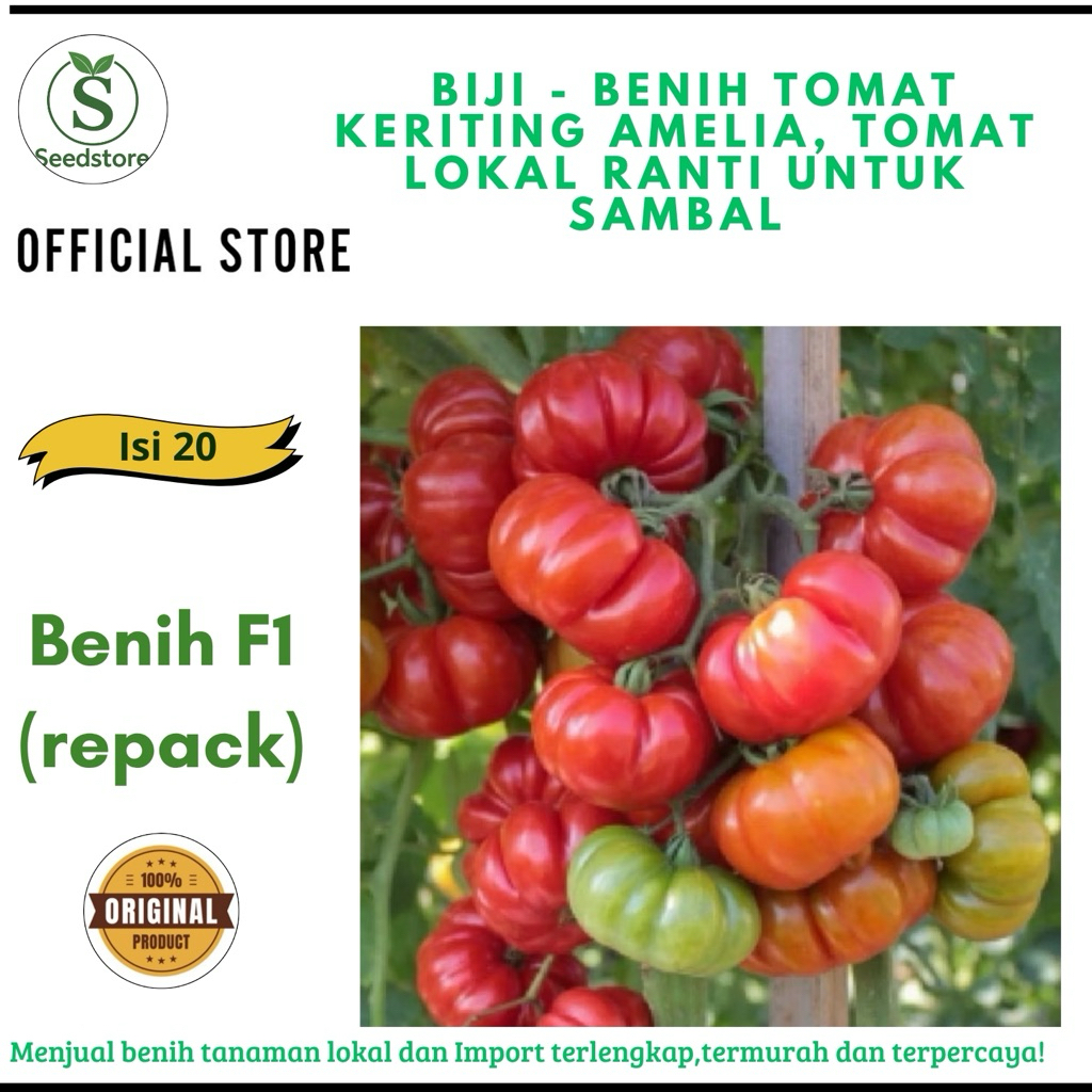 Jual isi 20 biji - Benih Tomat Keriting AMELIA, tomat lokal ranti untuk ...