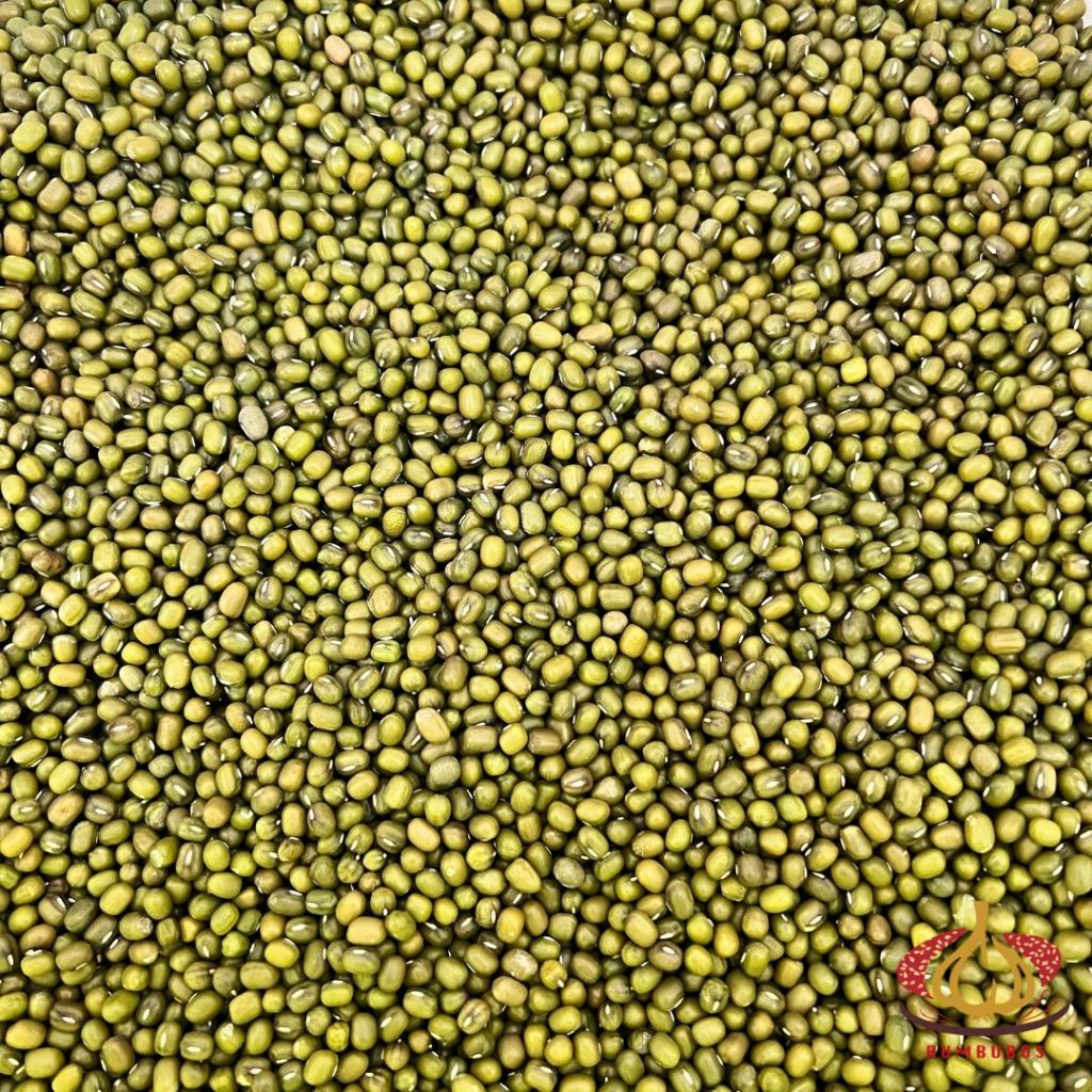 Jual Harga Kacang Hijau 1 Kg Pasar Terlengkap & Harga Terbaru Juni 2026 ...