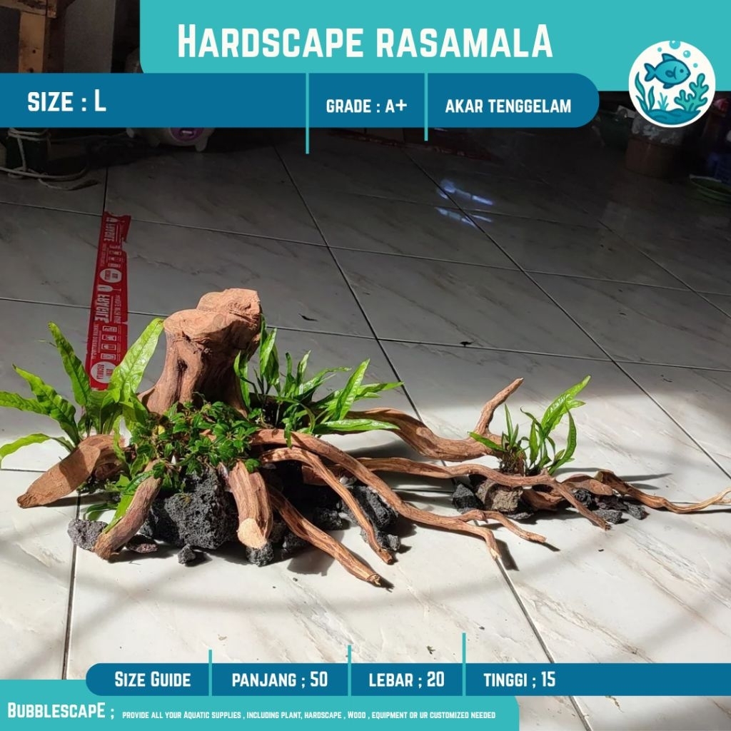 Jual HARDSCAPE AKAR TENGGELAM JUNGLE SIZE L ( Besar) RASAMALA |Ornamen ...