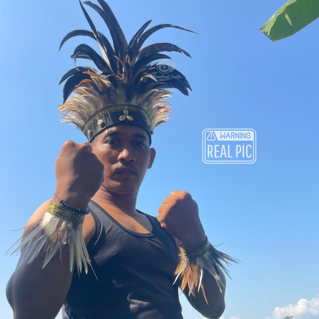 Jual Hiasan Kepala Mahkota Papua – Topi Adat Handmade Bulu Warna ...